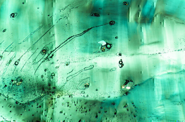 Join Europe’s BIGGEST virtual event for the Global Microscopy and ...