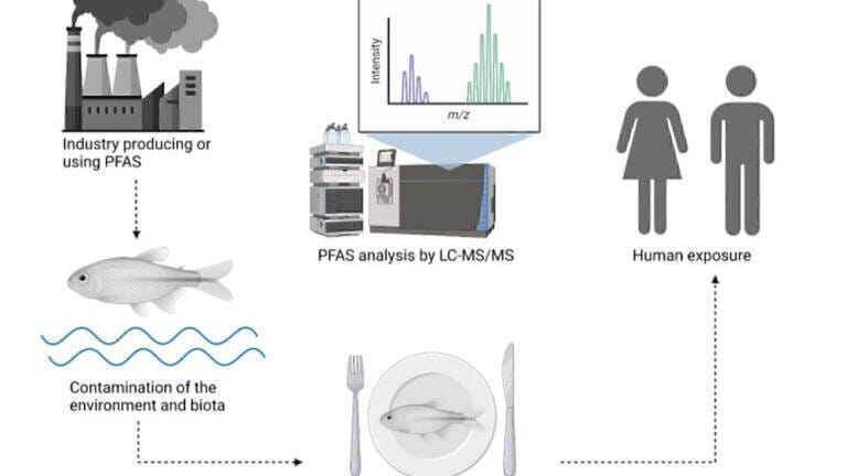Occurrence of PFAS in a variety of fish species from the Baltic Sea and ...