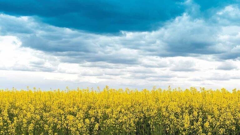 Making Lubrication Sustainable The Recent Advancements of Biolubricants ...