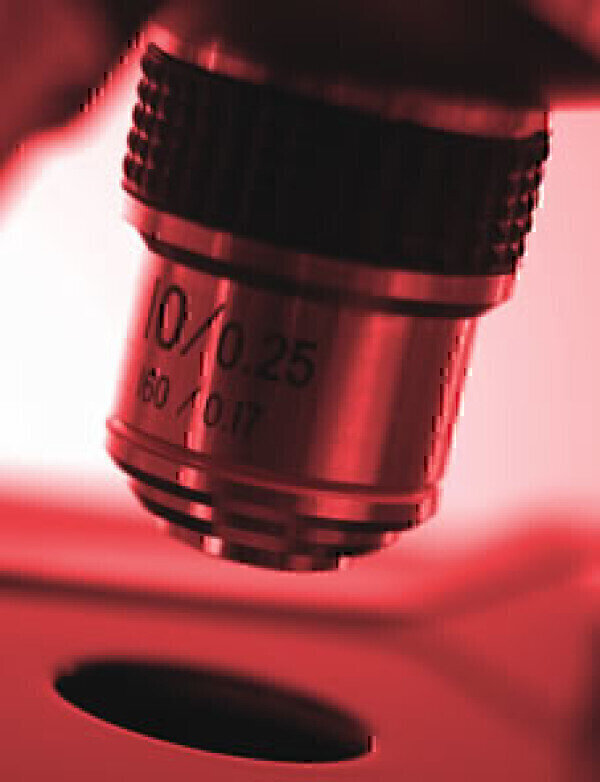 Tabletop Electron Microscopy at the British Antarctic Survey - Feb 06 ...