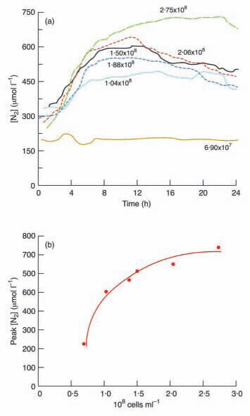 Membrane Inlet Mass Spectrometer System Assists in Denitrification ...
