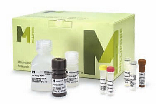 Test Kits for Human Kidney Damage Labmate Online