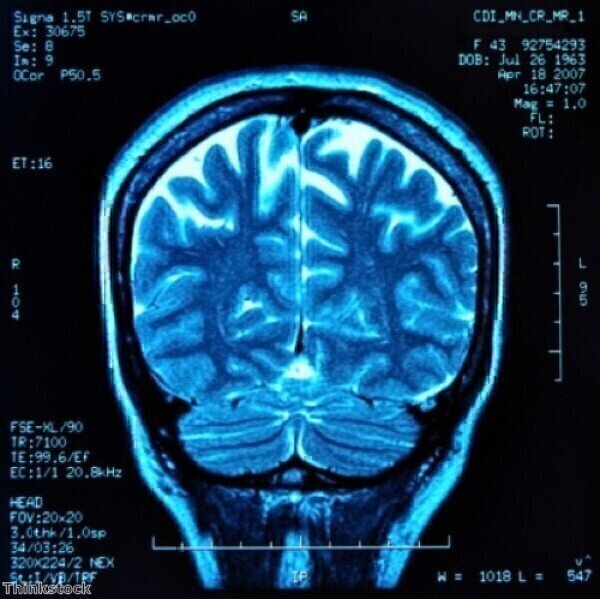 Laser technique proves effective for brain tumour removal Labmate Online