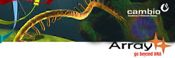 Ribosomal RNA Removal Kits provide Quick and Easy Protocol in Under One ...