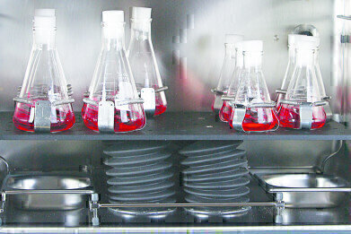 Best of Both Worlds: The New Brunswick™ S41i CO2 Incubator Shaker ...