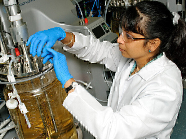 New Media and Feeds Maximise Yield and Batch-to-Batch Consistency to ...