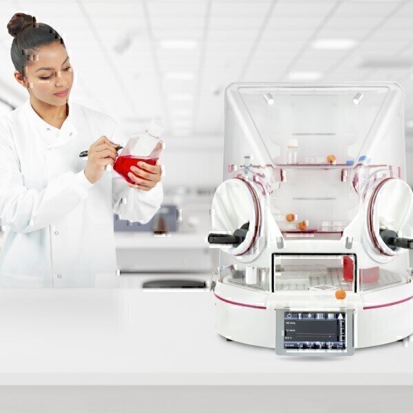 Bench-top physiological oxygen incubator and workstation Labmate Online