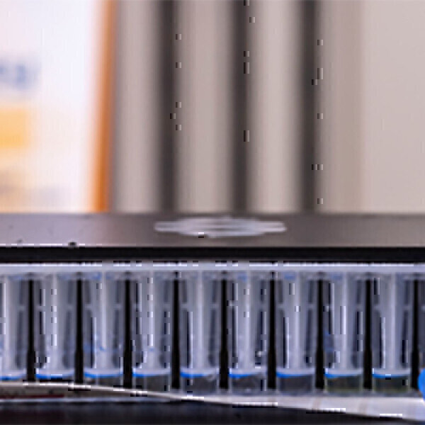Evaluate the Entire Analytical Process of the BCID2 Panel Assay for ...