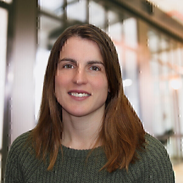 Strategic Role Focused on Direct Dealer Support Labmate Online