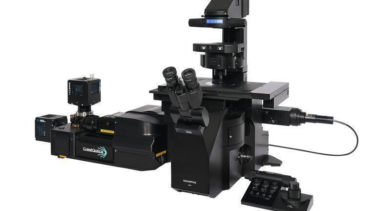 New spinning disk confocal microscopes for live-cell imaging Labmate Online