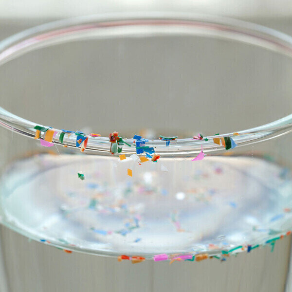 Quick identification of environmental microplastic particles Labmate Online