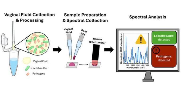 Portable surface-enhanced Raman spectroscopy can rapidly detect ...