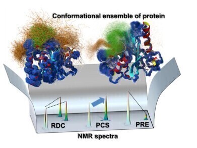 Tokyo team unveils novel NMR method to reveal enzyme movements in ...