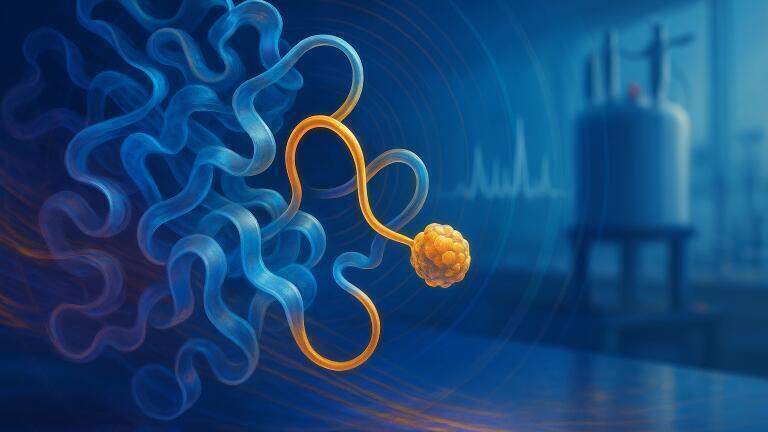 Tokyo team unveils novel NMR method to reveal enzyme movements in ...