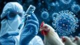 Global study links seasonal flu vaccines to lower risk of H5N1 bird flu ...