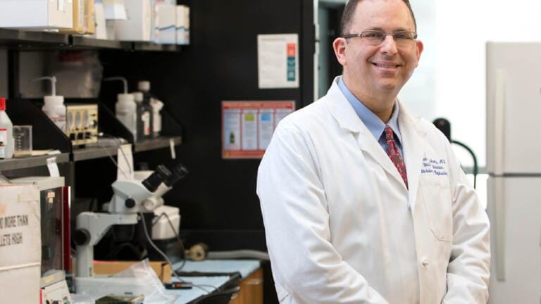 Common asthma drug formoterol shows promise as therapy to reverse fatty ...