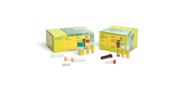 Expanded antibody labelling kits for flow cytometry research Labmate Online