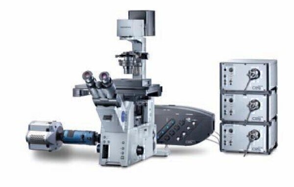 Even, Equal and Simultaneous Imaging Perfection Labmate Online